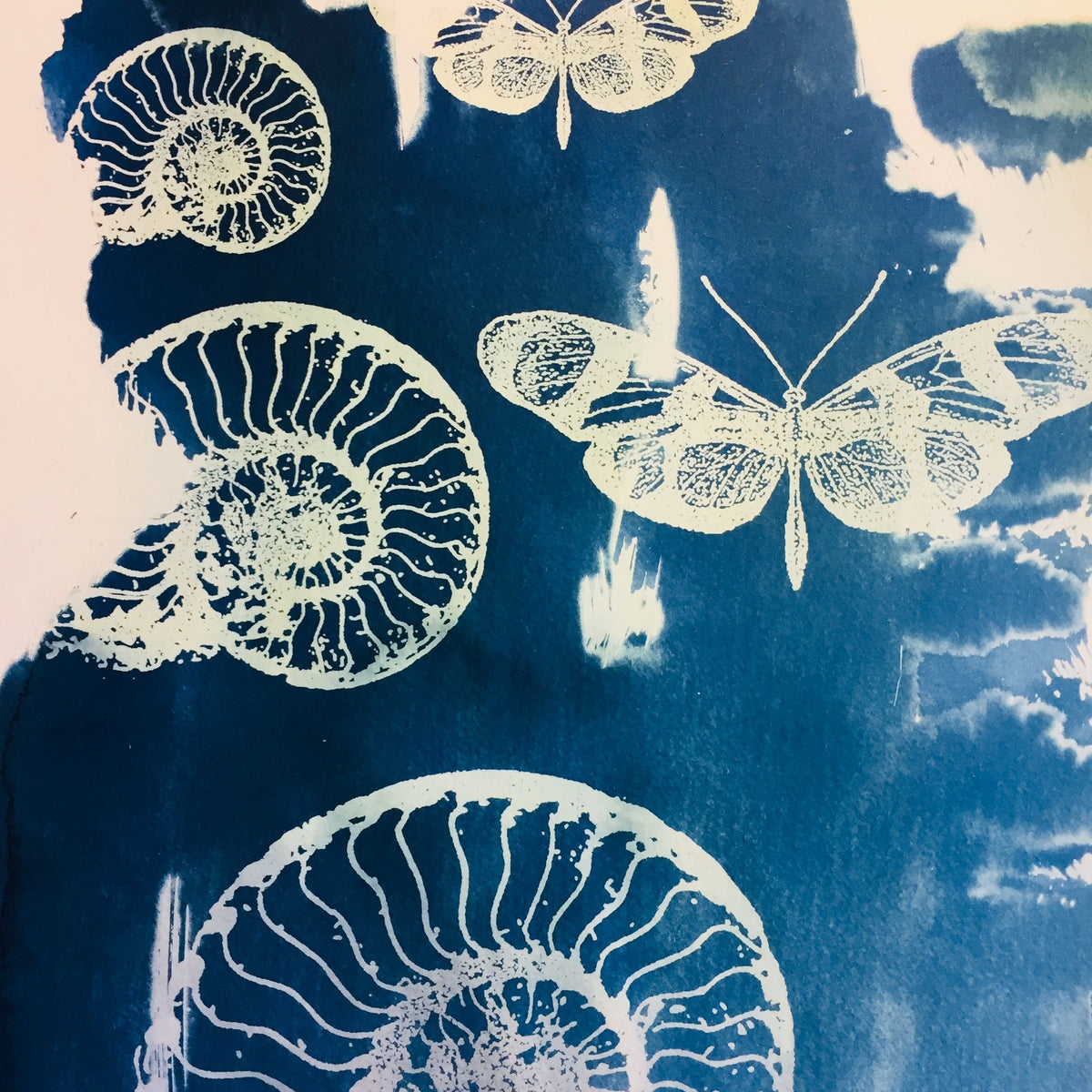 From Blueprint to Art: The History and Modern Revival of Cyanotype ...